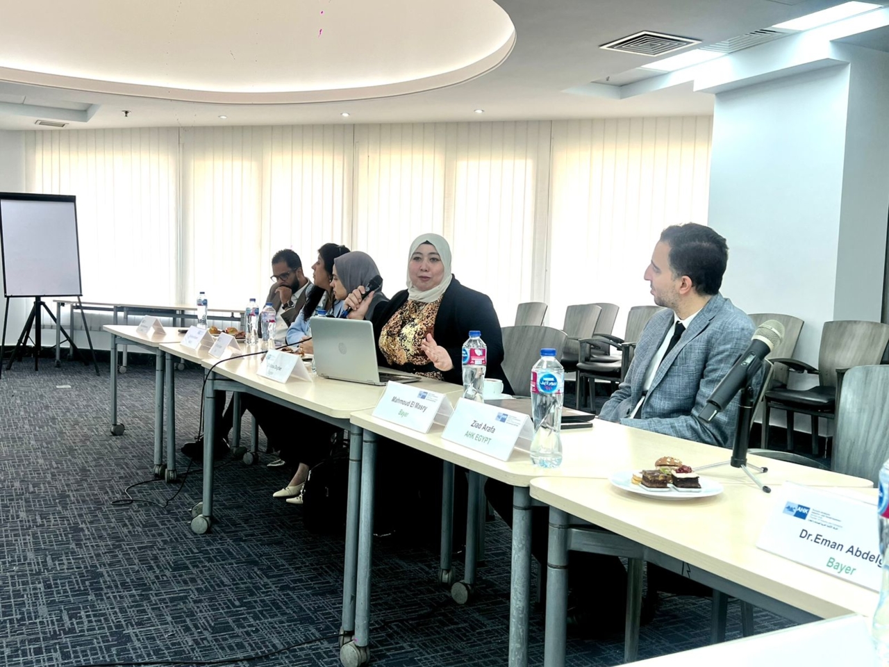 High-level meeting between the AHK Egypt Pharmaceutical Working Group ...