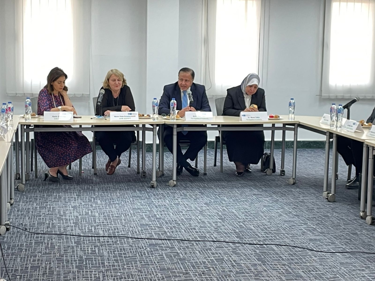 High-level meeting between the AHK Egypt Pharmaceutical Working Group ...