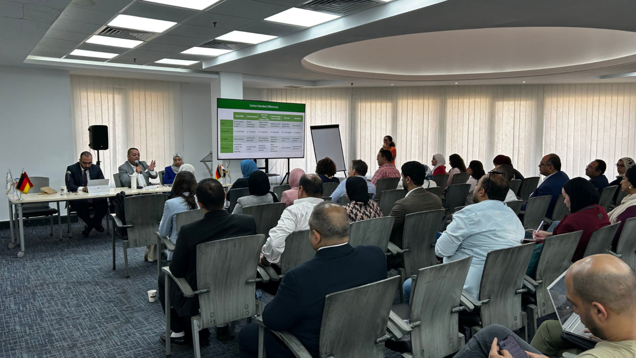 AHK Egypt Carbon Credits Workshop
