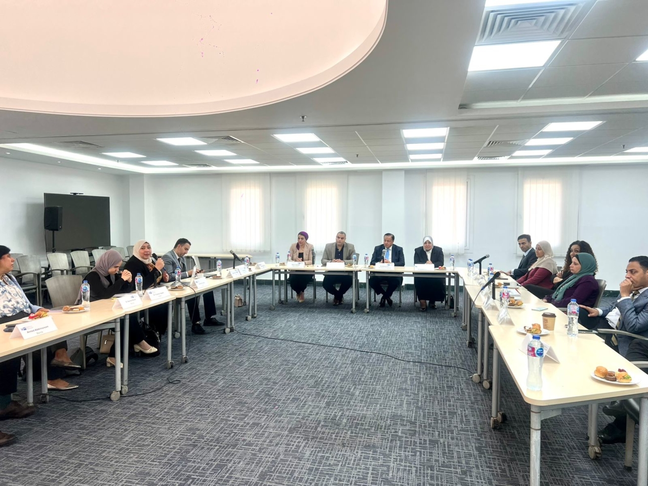 High-level meeting between the AHK Egypt Pharmaceutical Working Group ...