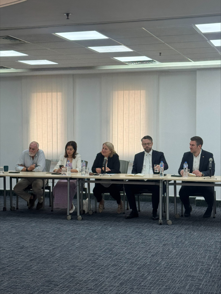 AHK Egypt Logistics Workshop: The Development of the Egyptian Customs ...